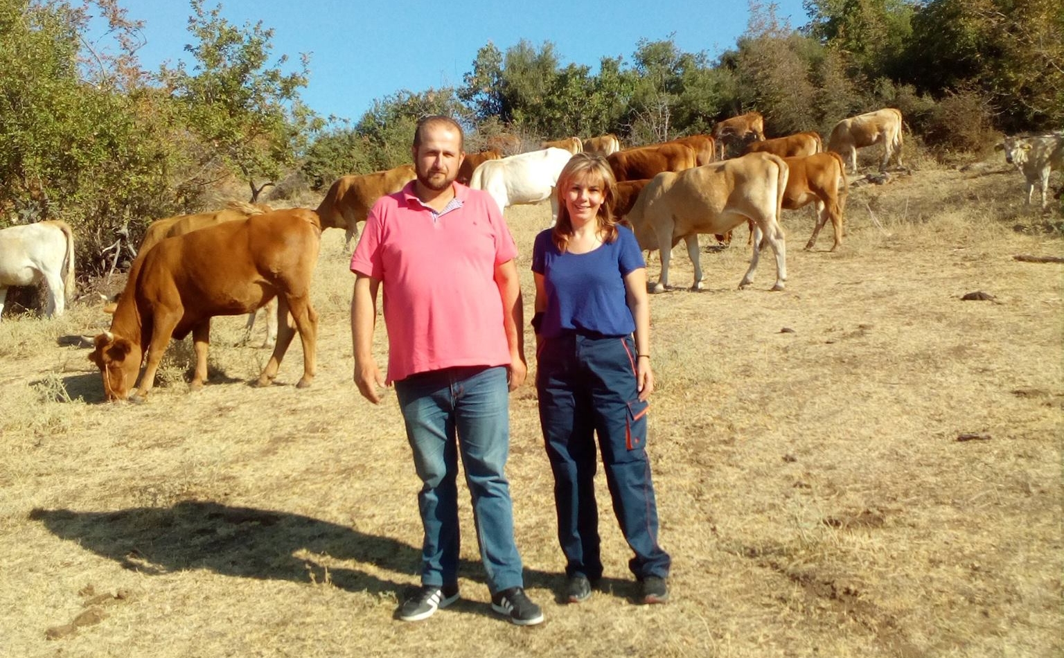 Cows40 - ΕΛΛΗΝΙΚΗ ΚΟΚΚΙΝΗ ΦΥΛΗ | ΣΥΝΔΕΣΜΟΣ ΘΕΣΣΑΛΟΝΙΚΗΣ
